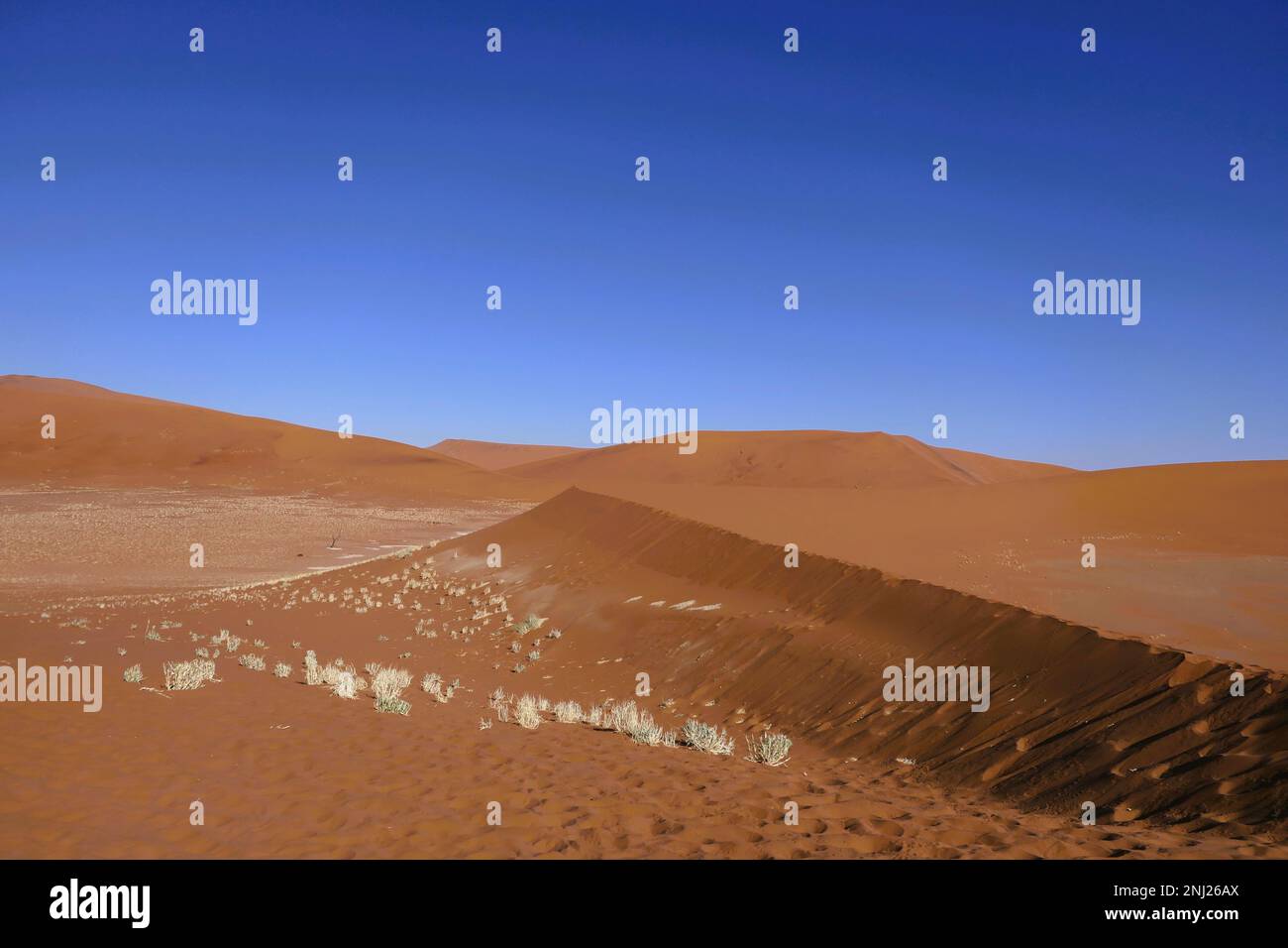 Exploring Namib Desert in Africa with Trailfinders Stock Photo - Alamy