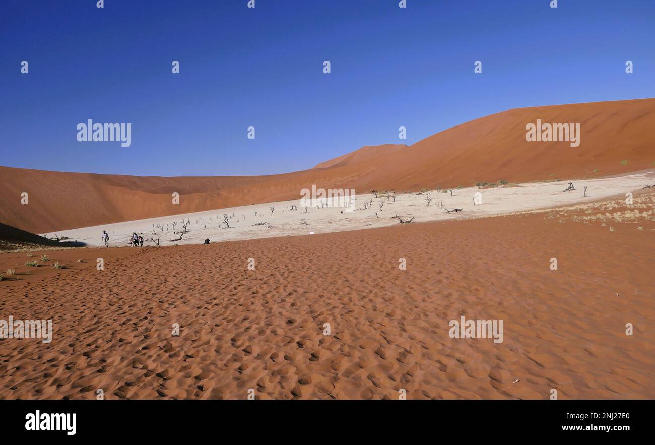 Exploring Namib Desert in Africa with Trailfinders Stock Photo - Alamy