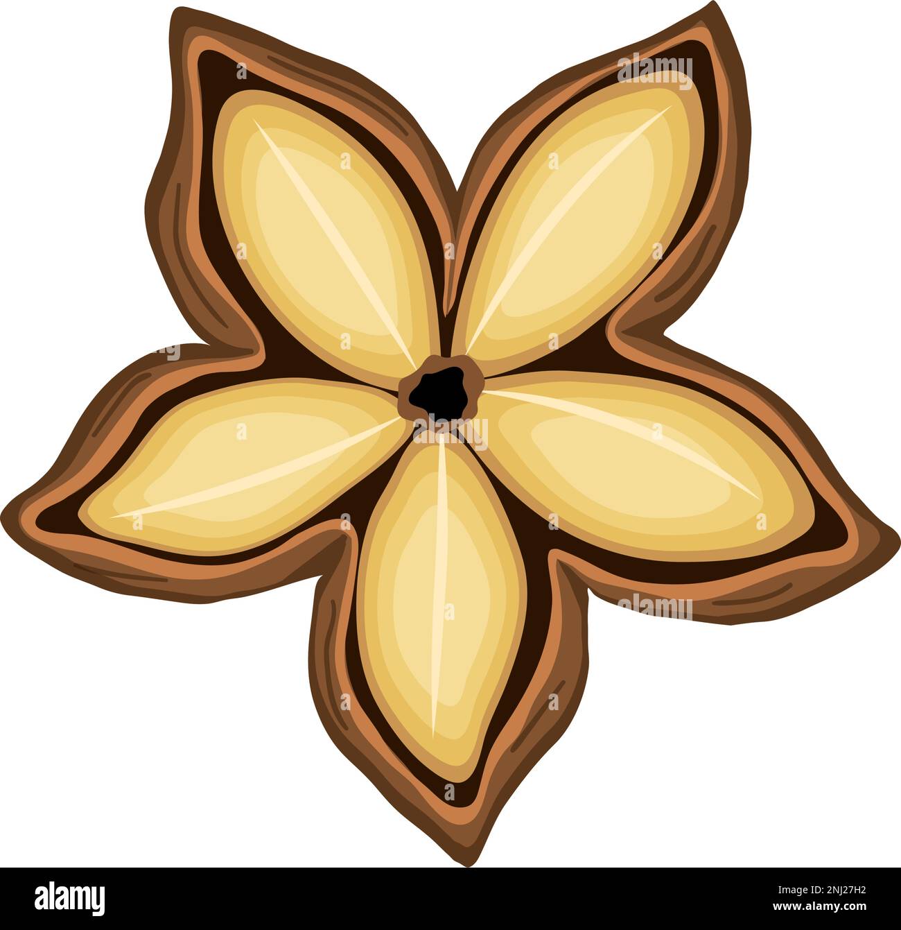 inchi sacha dry cartoon vector illustration color sign Stock Vector ...