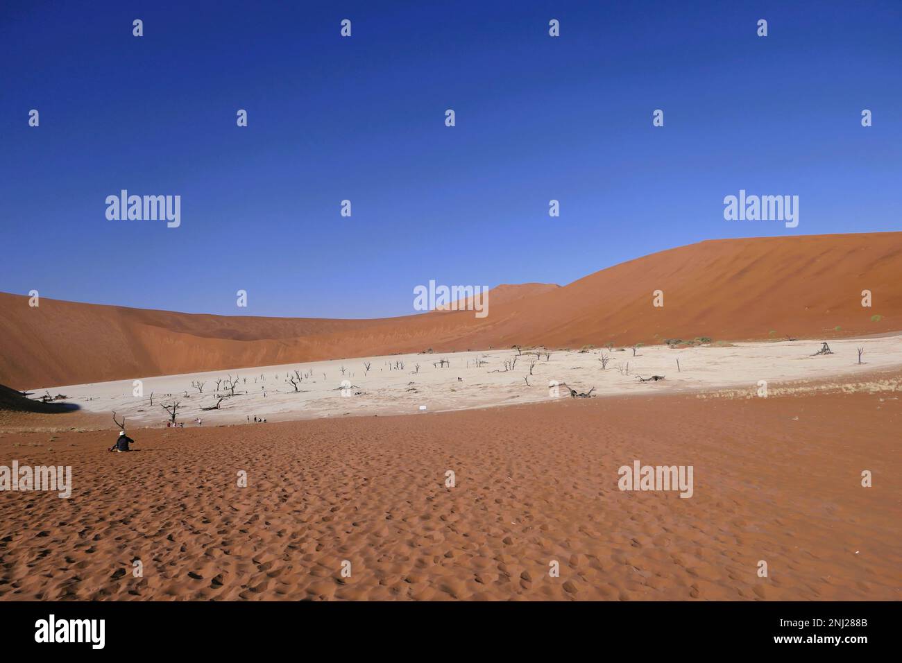 Exploring Namib Desert in Namibia with G Adventures Stock Photo - Alamy