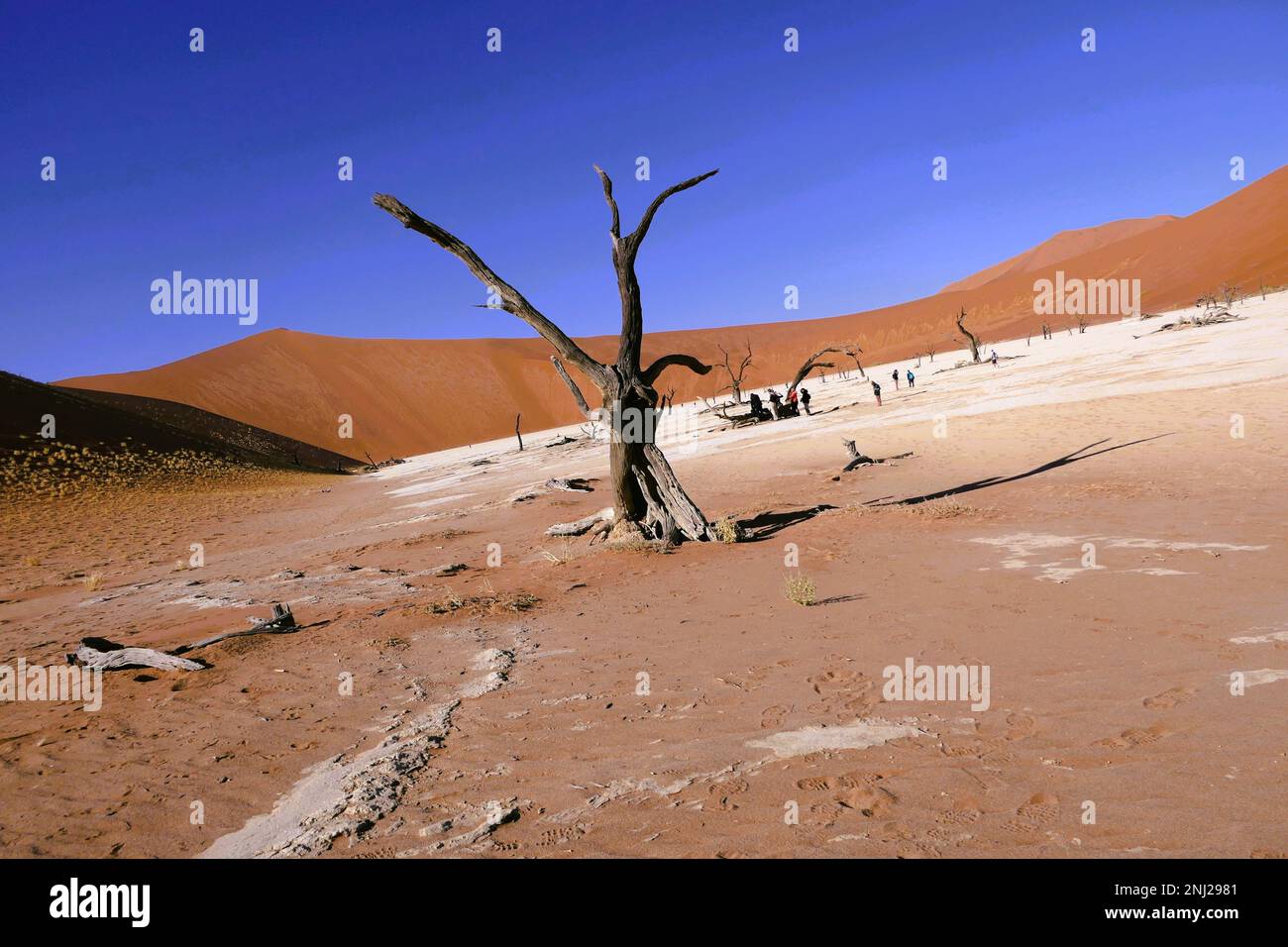 Exploring Namib Desert in Namibia with G Adventures Stock Photo - Alamy