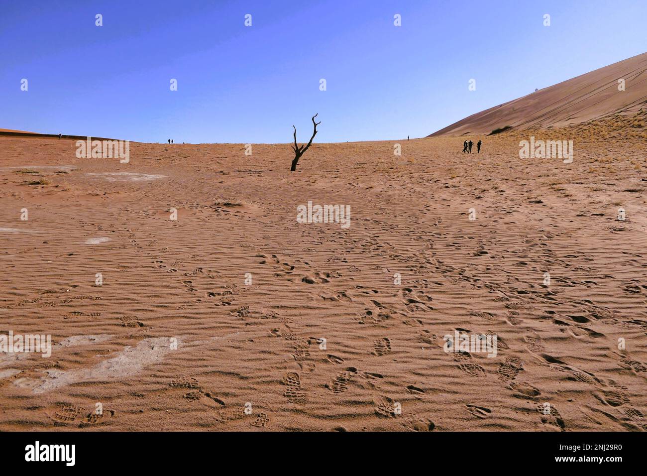 Exploring Namib Desert in Namibia with G Adventures Stock Photo - Alamy