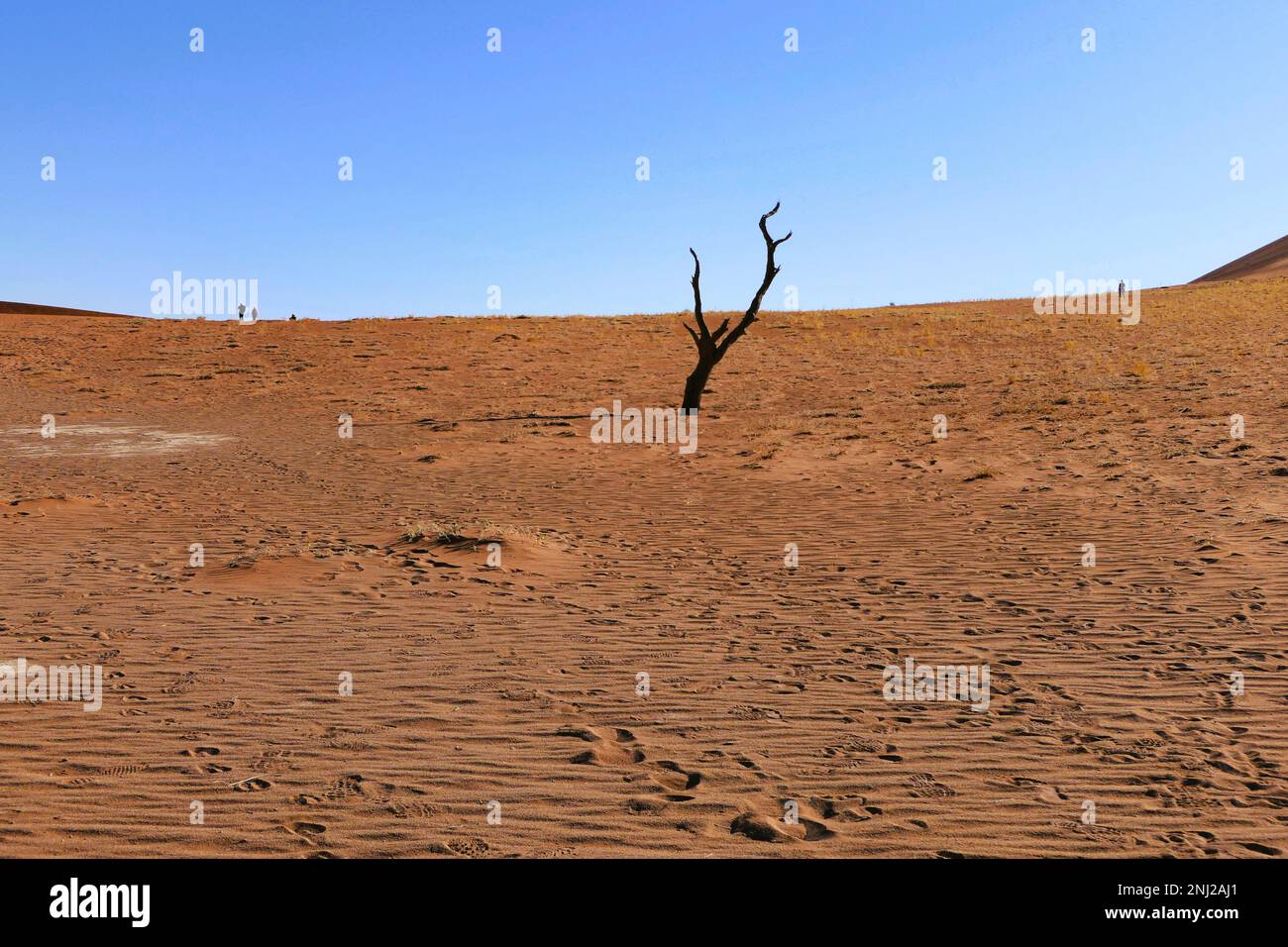 Exploring Namib Desert in Namibia with G Adventures Stock Photo - Alamy