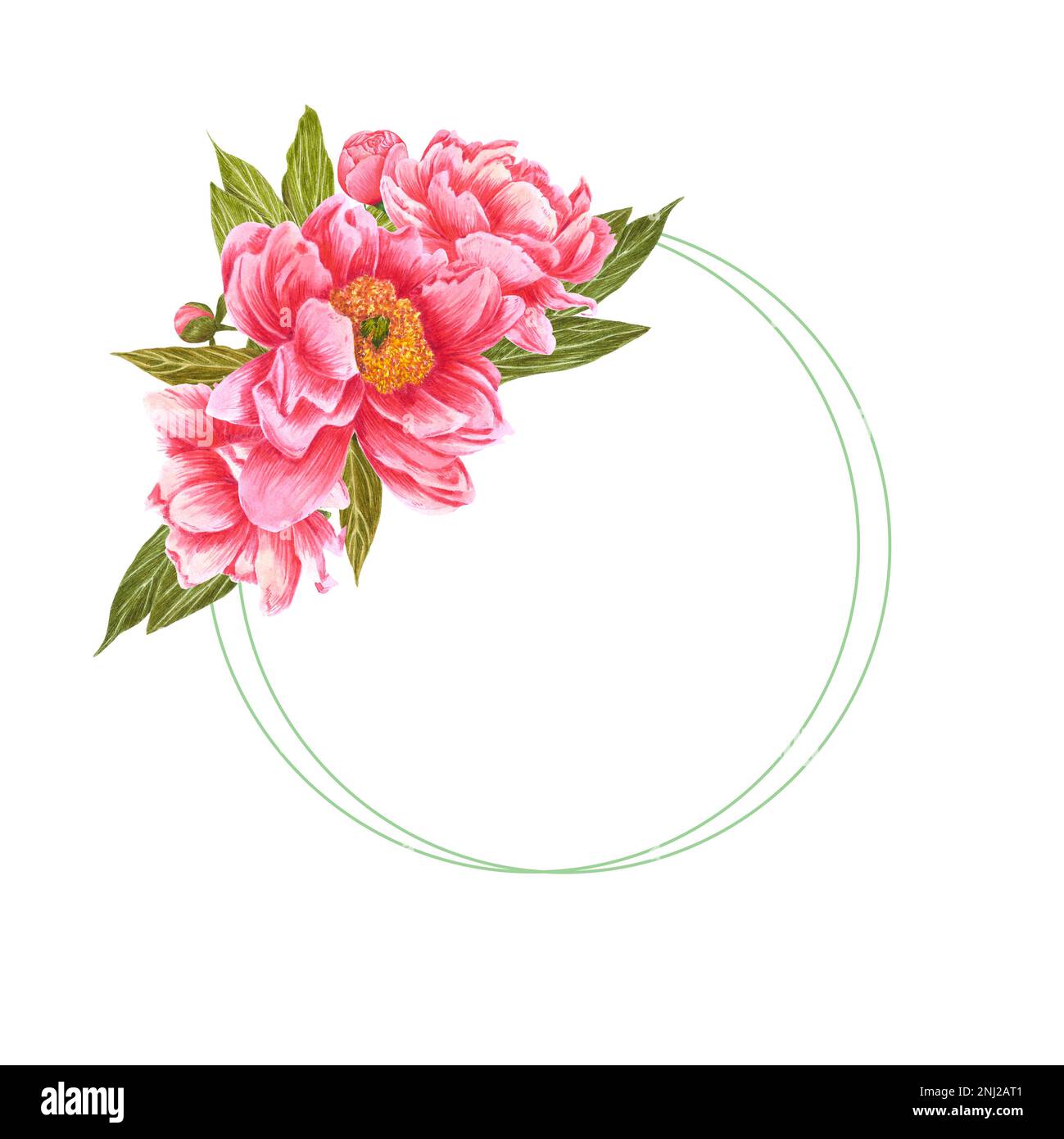 Handdrawn Watercolor pink and red peony flowers frame with green leaves ...
