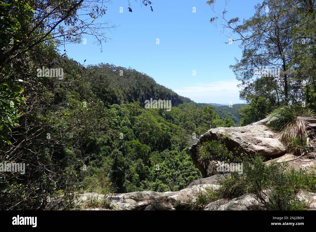 Springbrook national park hi-res stock photography and images - Alamy