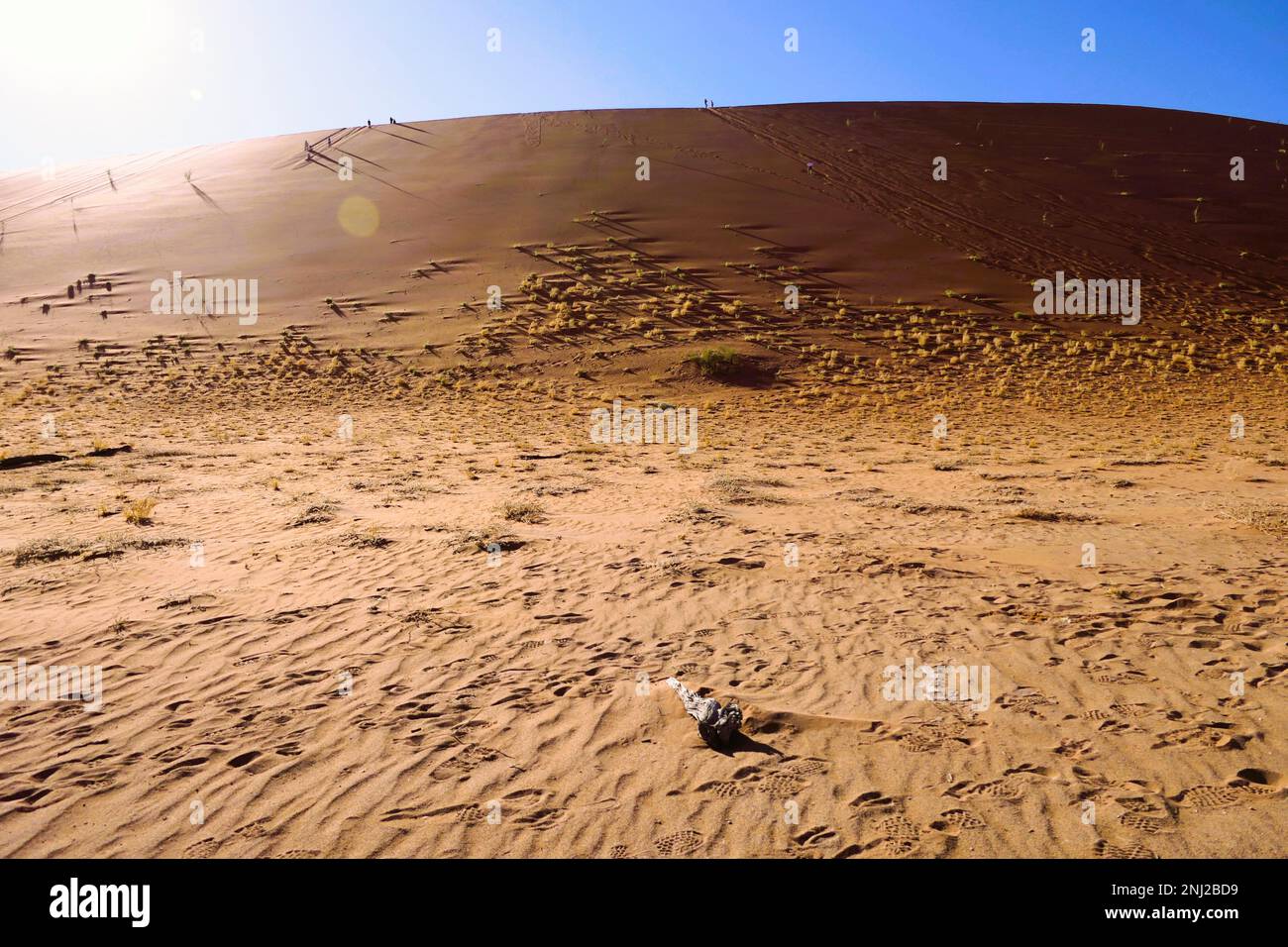 Exploring Namib Desert in Namibia with G Adventures Stock Photo - Alamy