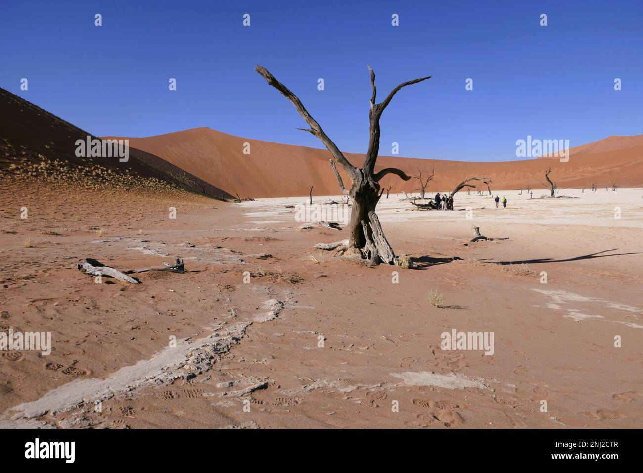 Exploring Namib Desert in Namibia with G Adventures Stock Photo - Alamy
