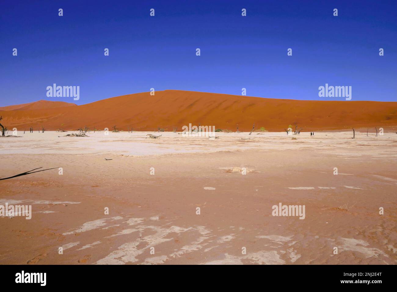 Exploring Namib Desert in Namibia with G Adventures Stock Photo - Alamy