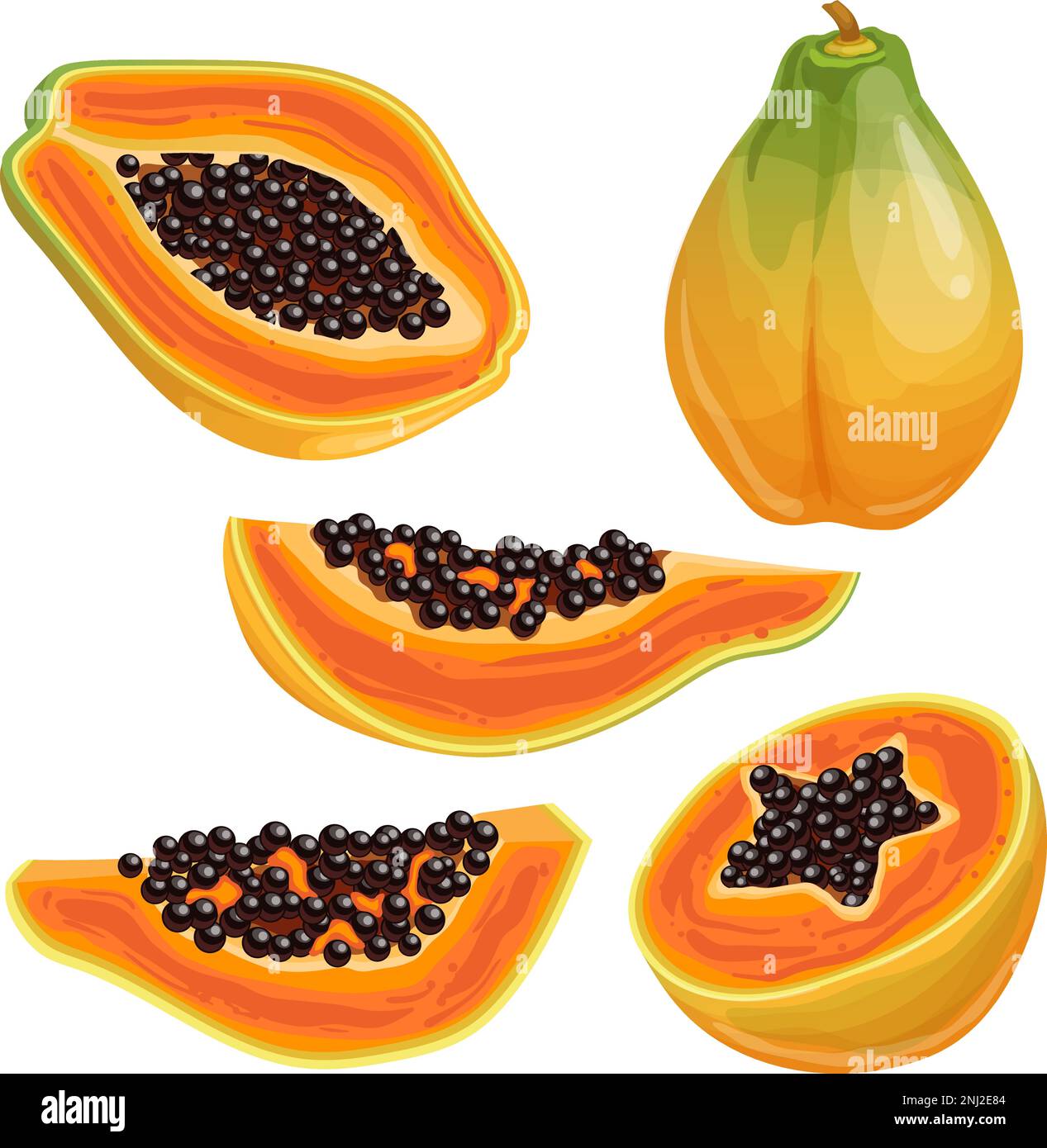 papaya food fruit fresh set cartoon vector illustration color sign ...