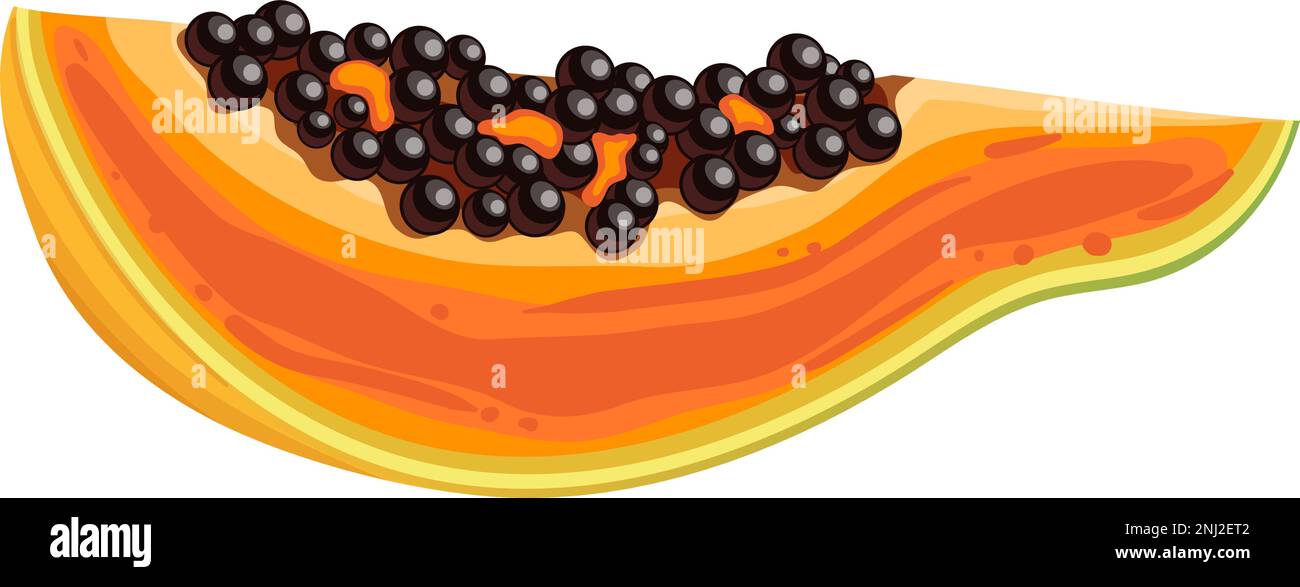 papaya slice fruit cartoon vector illustration color sign Stock Vector ...