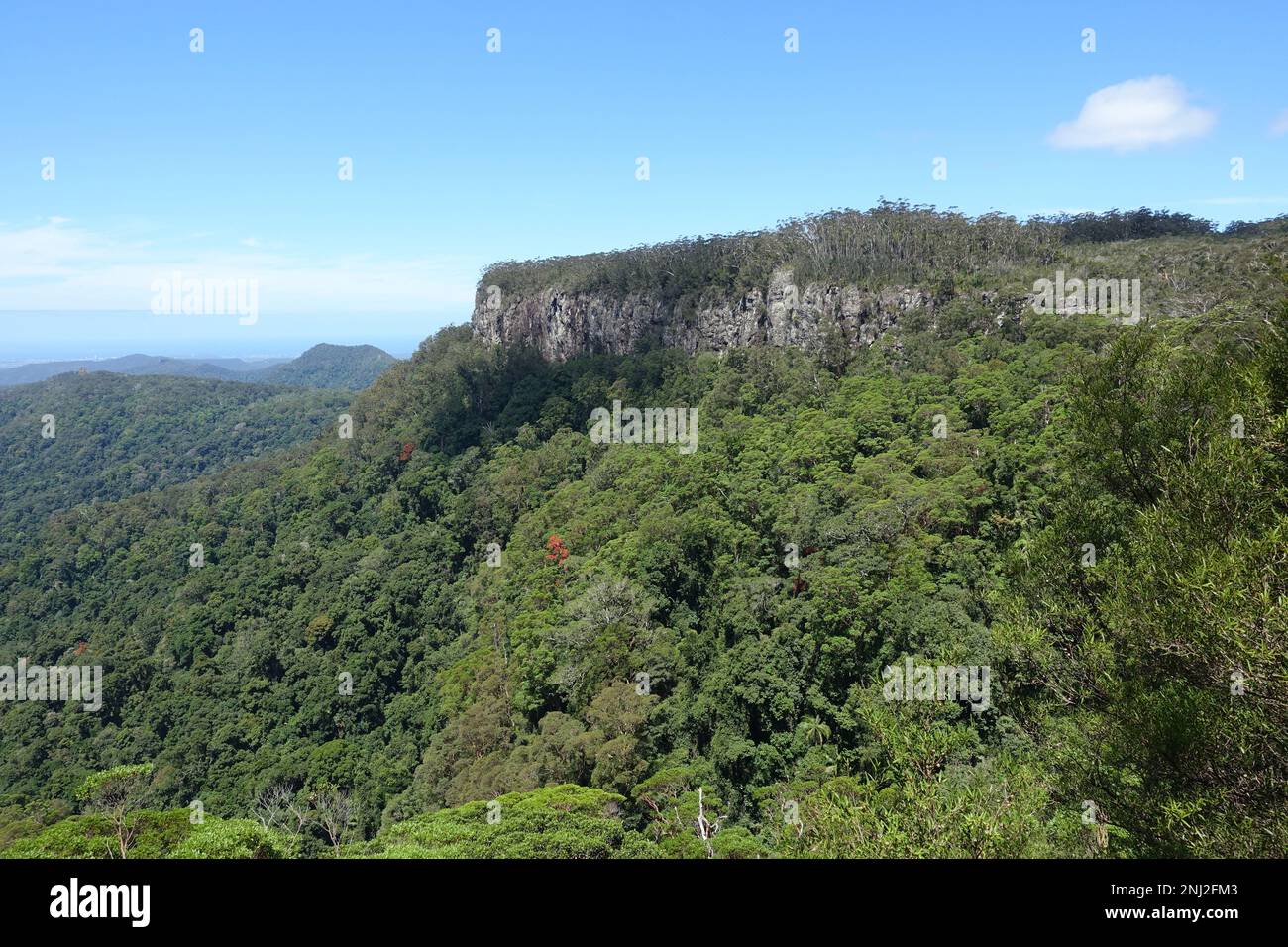 View from Canyon Lookout, Springbrook National Park, Australia Stock ...