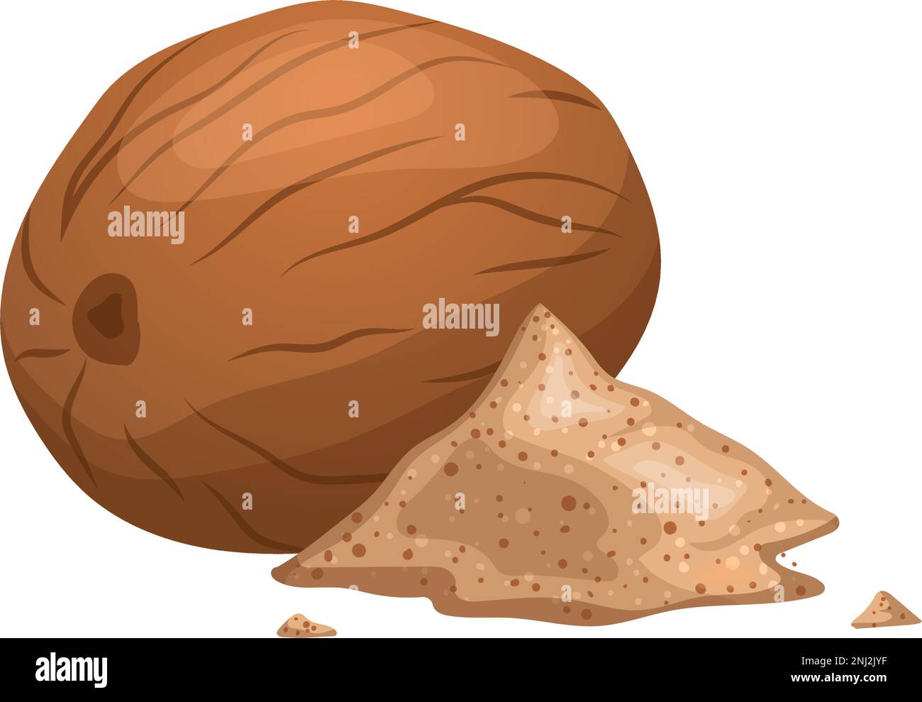 nutmeg food ingredient cartoon vector illustration color sign Stock ...