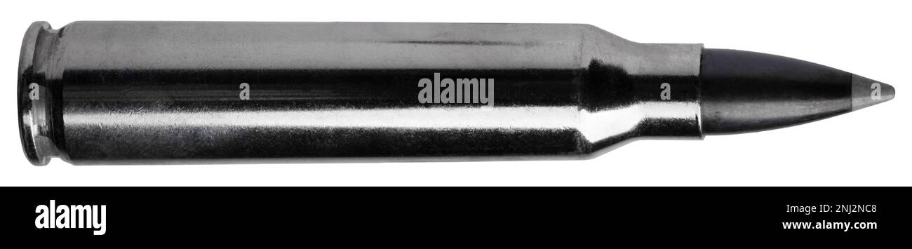 AR-15 ammunition with black bullet and silver case for a 223 Stock ...