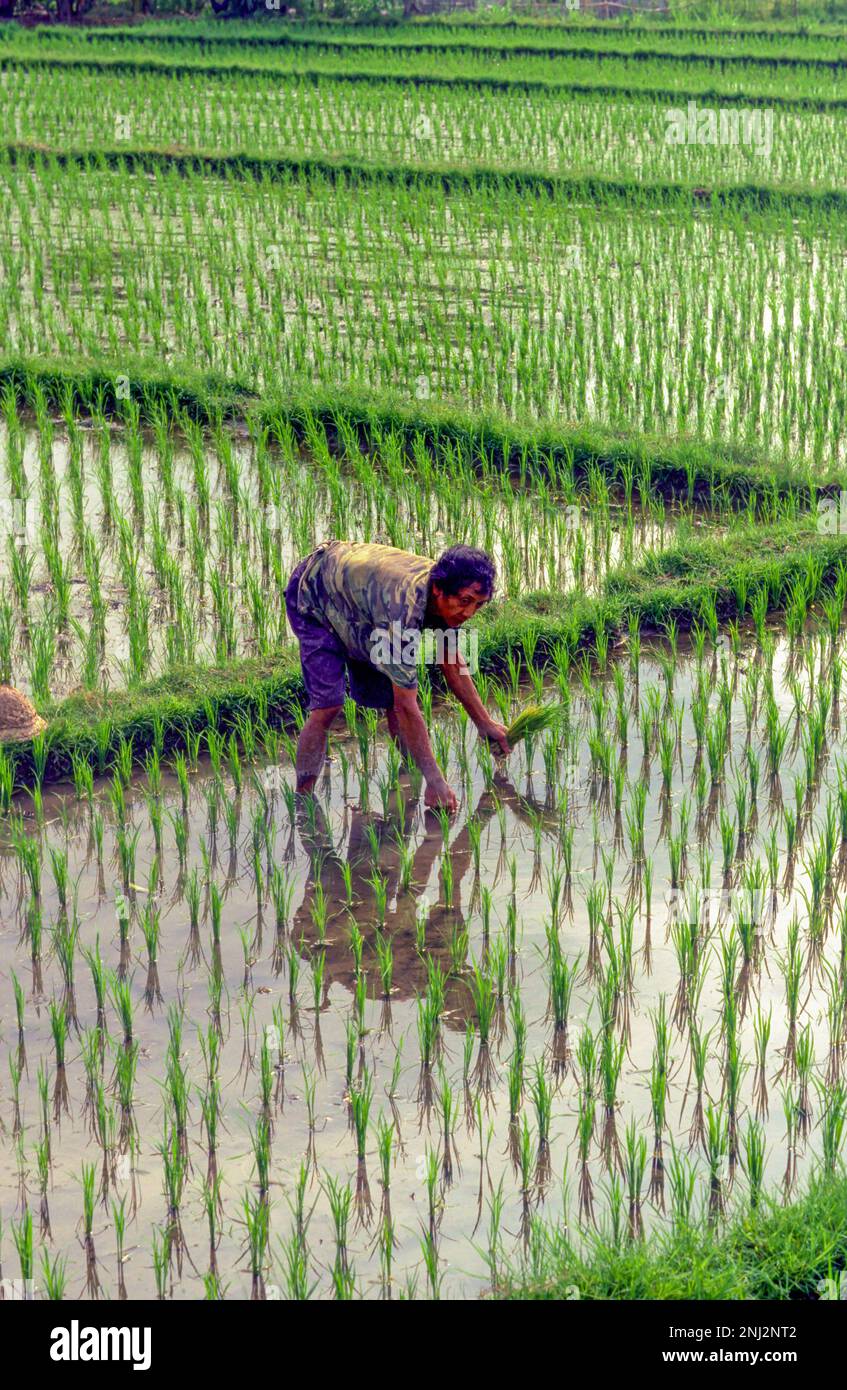 Baduraden hi-res stock photography and images - Alamy