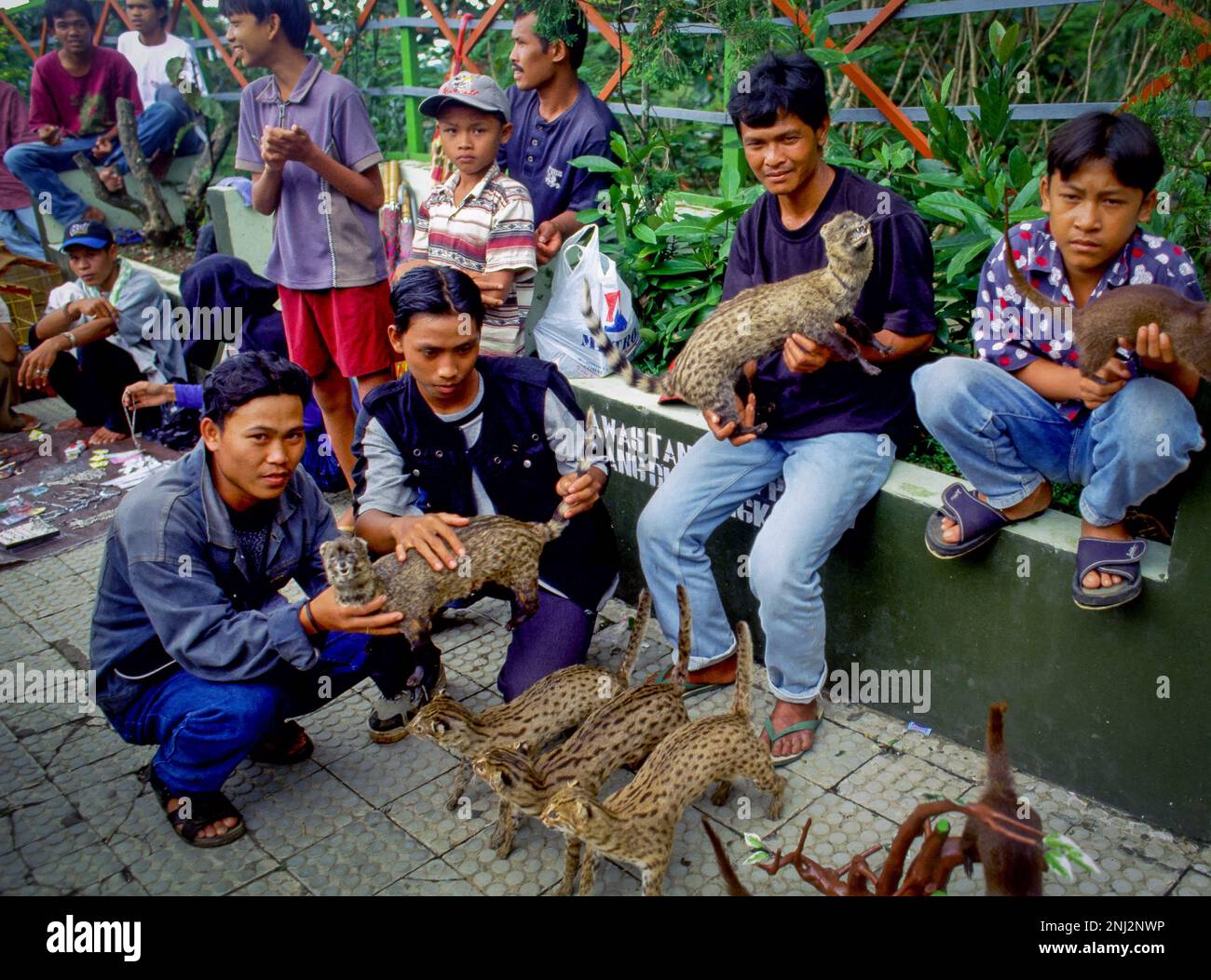 Animal poaching and smuggling hi-res stock photography and images - Alamy