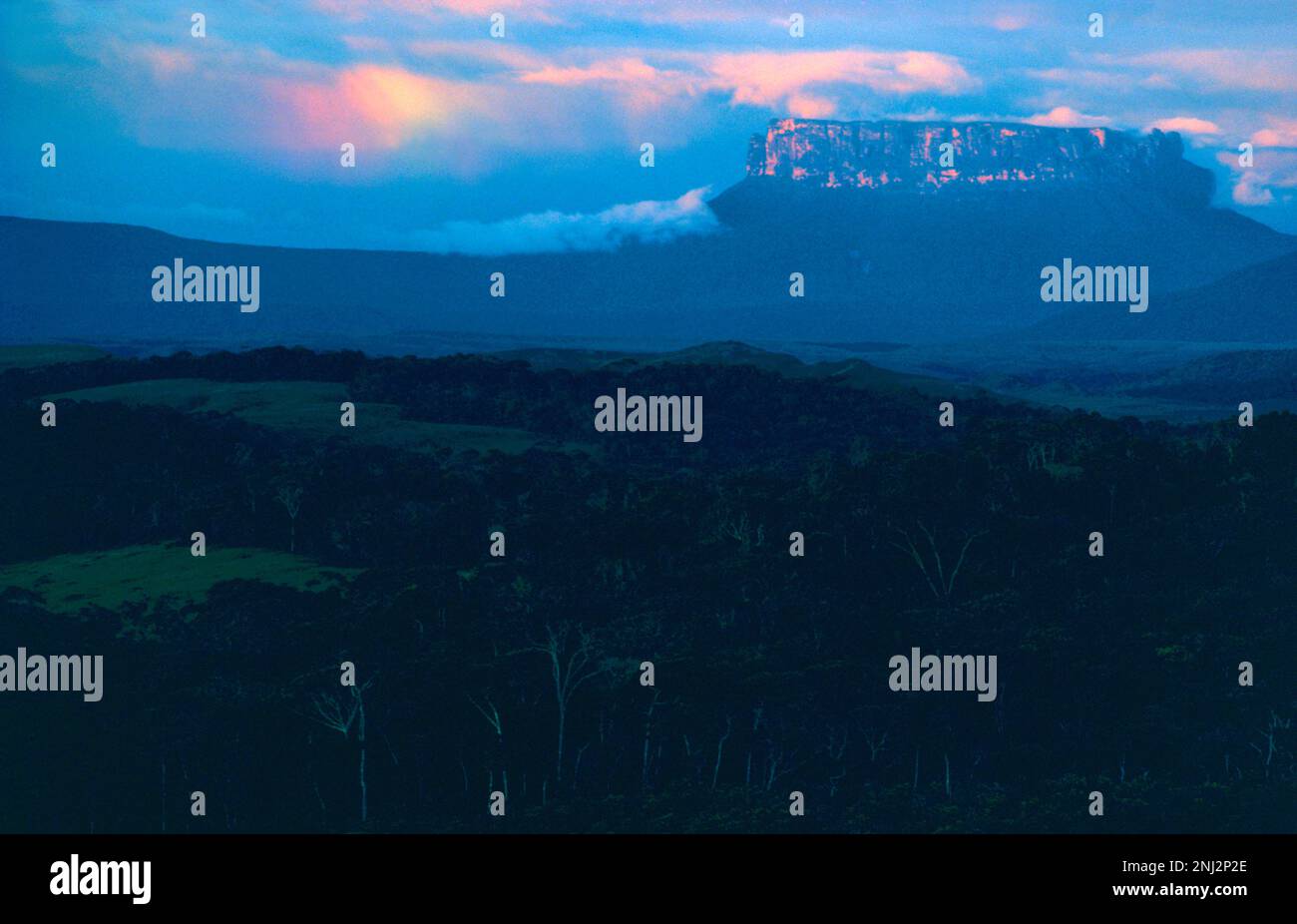 Yuruani tepui, Gran Sabana, Venezuela Stock Photo - Alamy