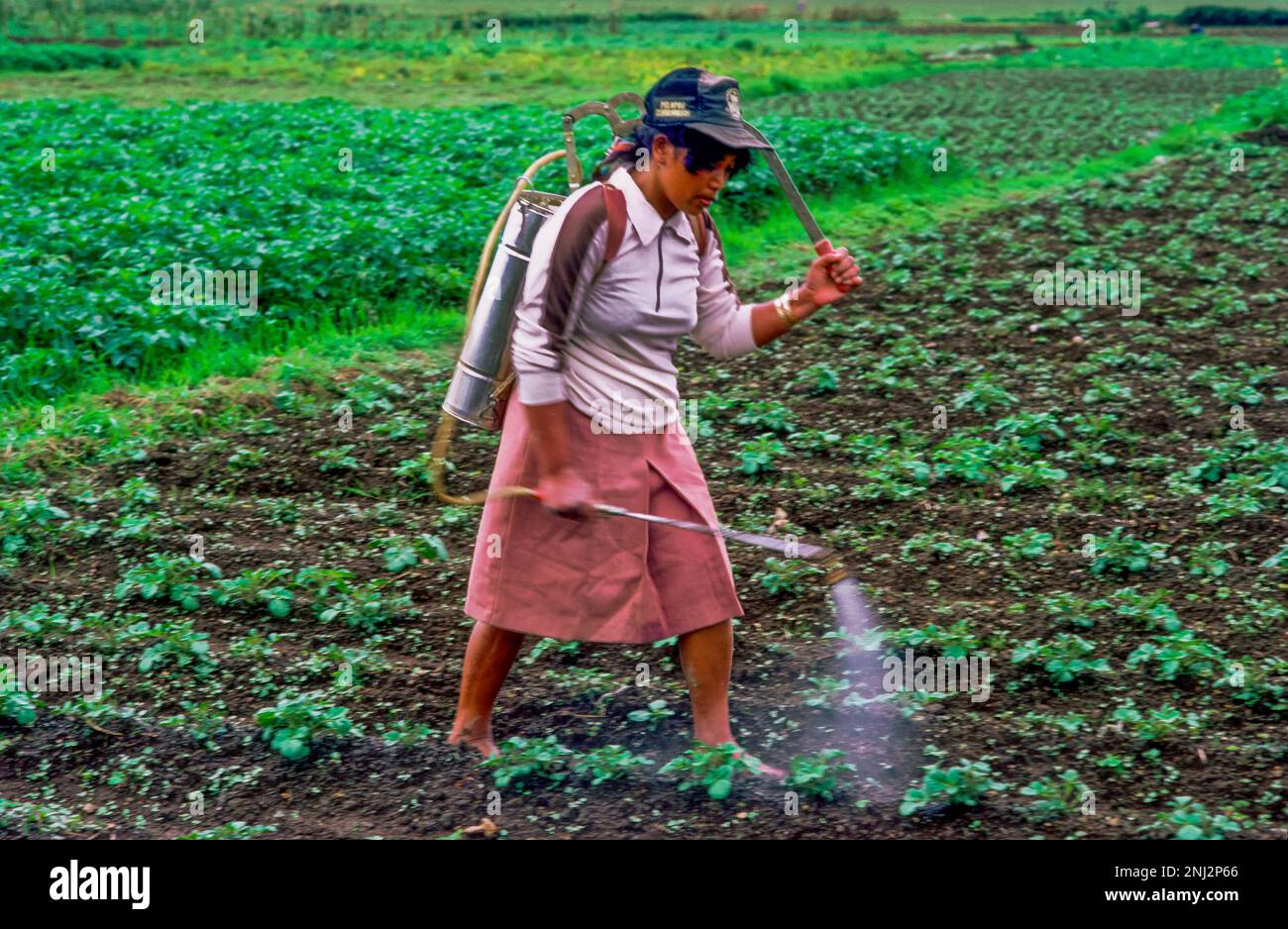 Herbicide asia hi-res stock photography and images - Alamy