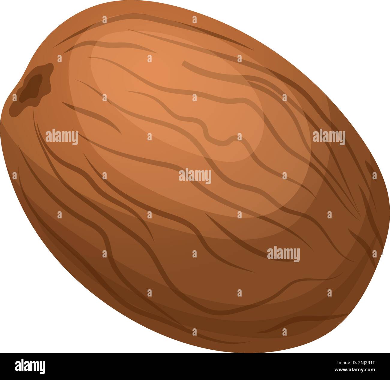 nutmeg food ingredient cartoon vector illustration color sign Stock ...