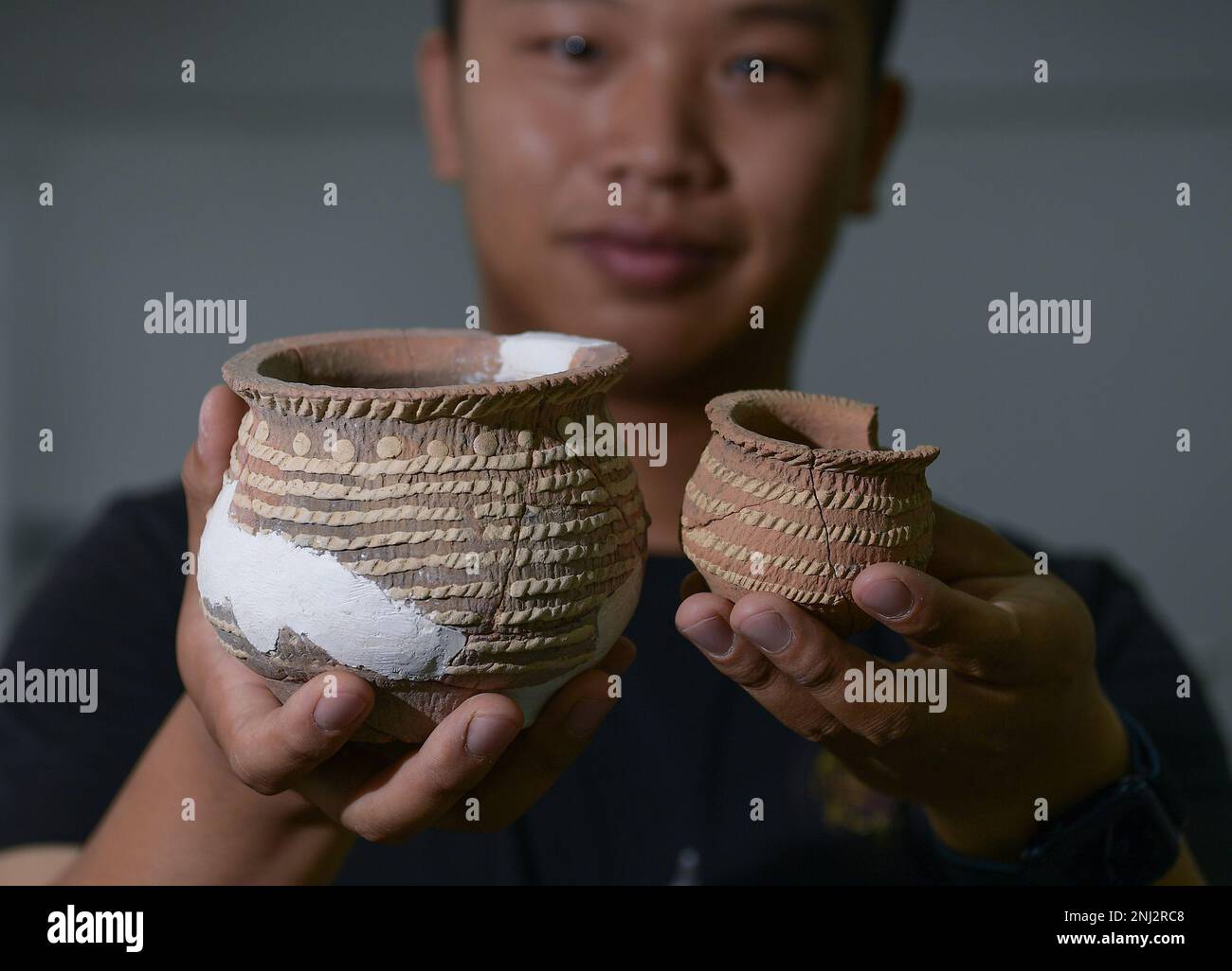 Paleolithic archaeologist hi-res stock photography and images - Alamy