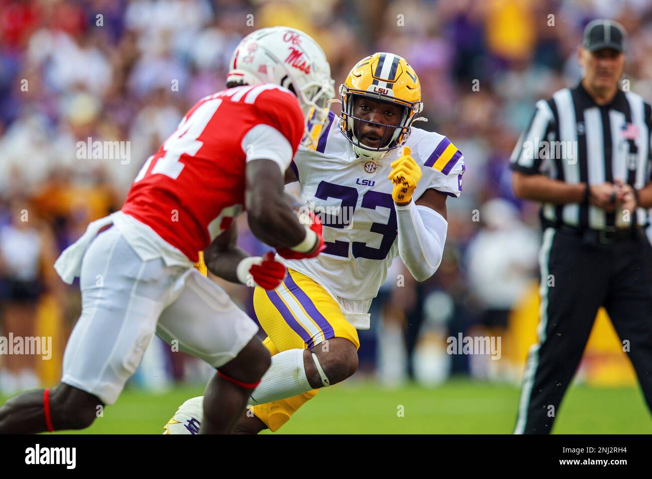 BATON ROUGE, LA - OCTOBER 22: LSU Tigers linebacker Micah Baskerville ...