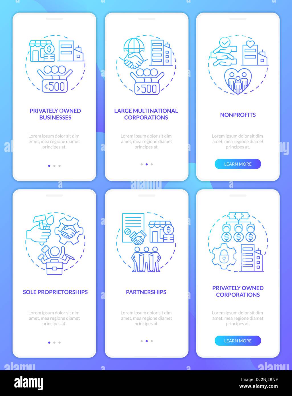 Private Sector Companies Types Blue Gradient Onboarding Mobile App