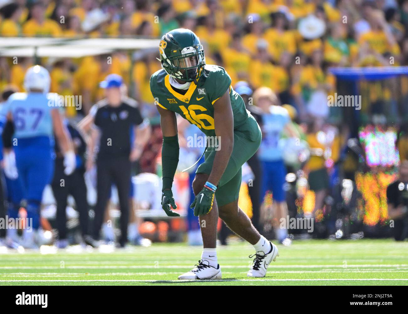 October 22 2022: Baylor Bears wide receiver Hal Presley (16) lines up ...