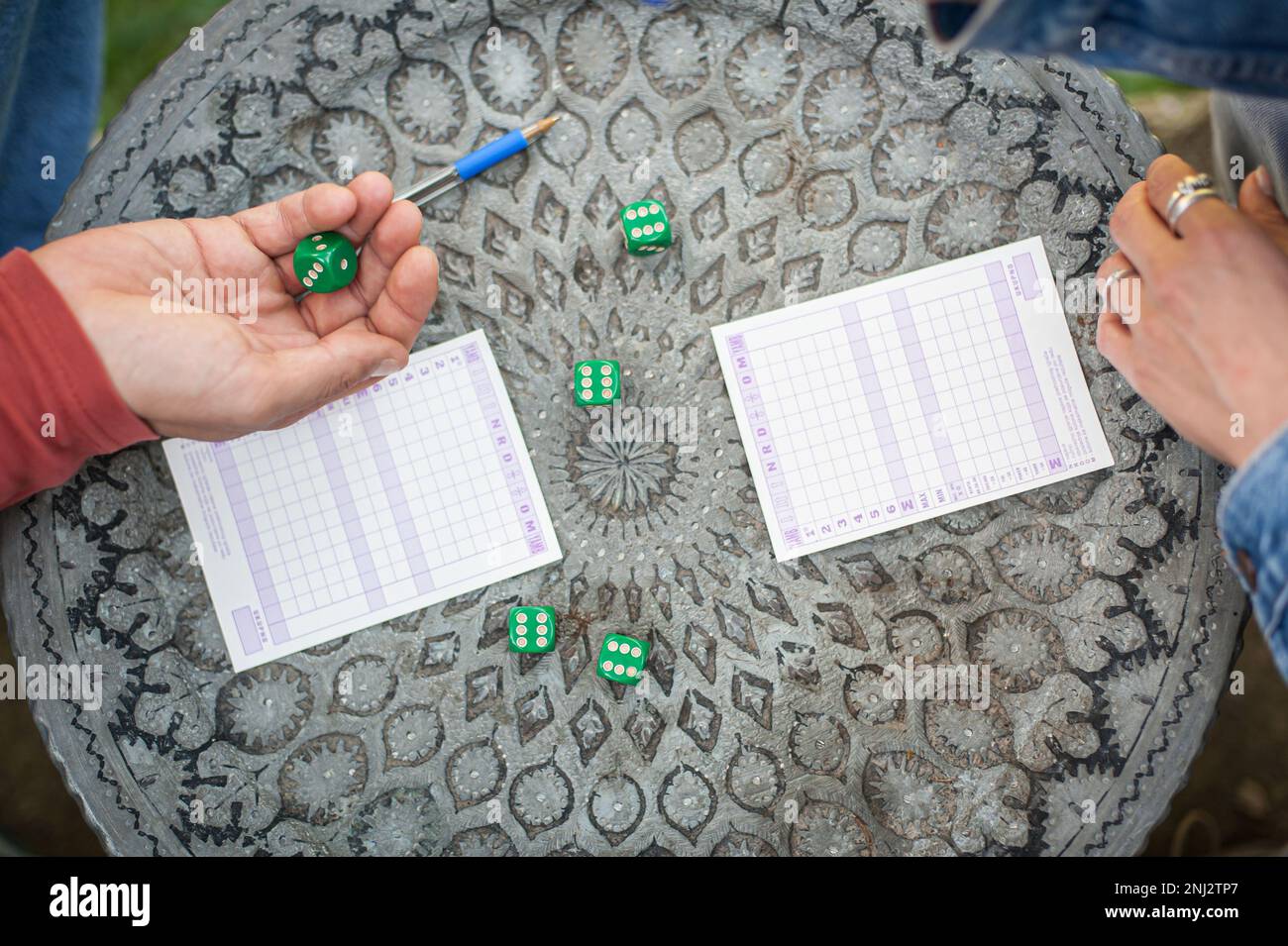 Two friends, men and women are playing yamb game in their free time in ...