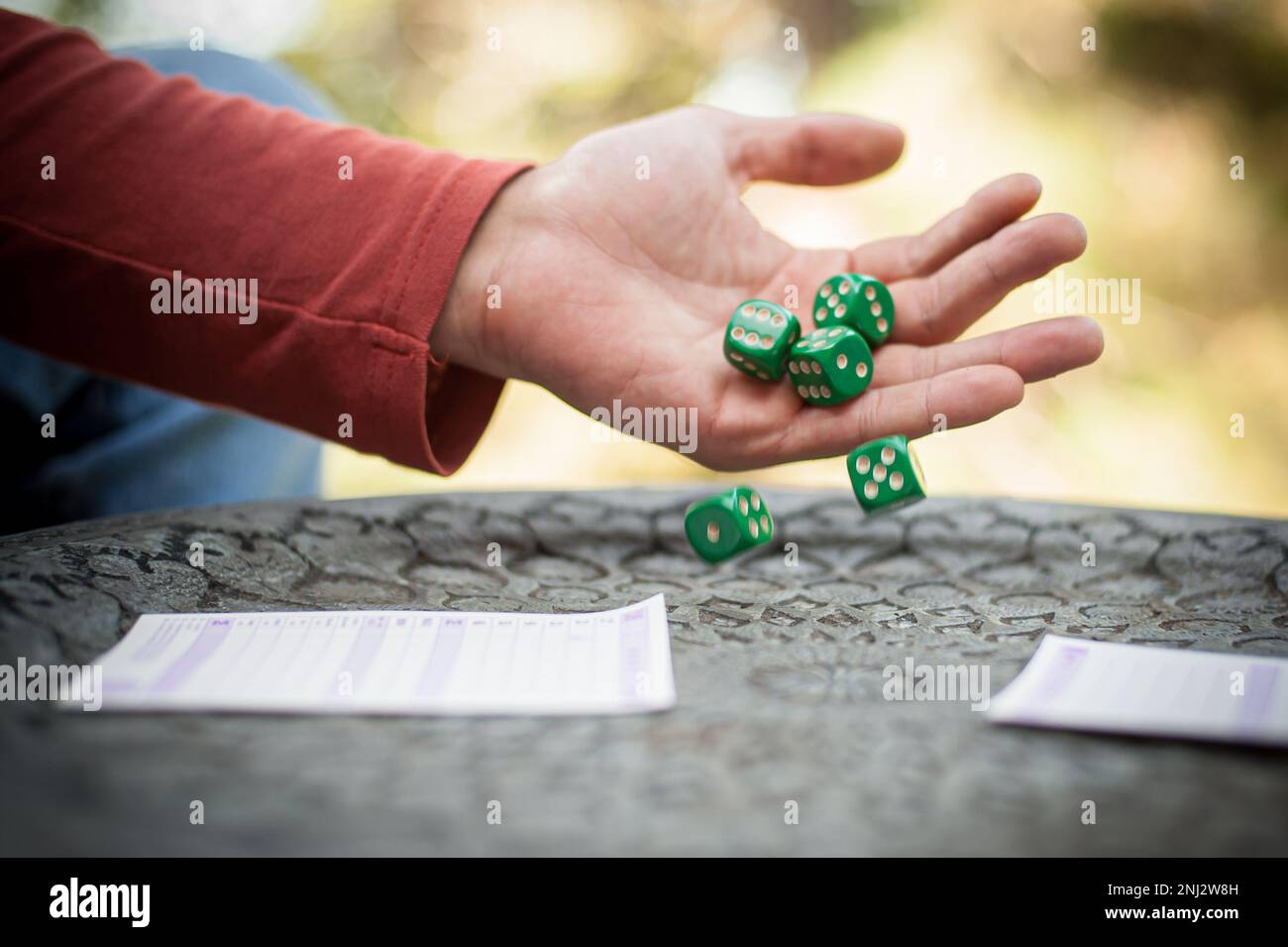 Two friends, men and women are playing yamb game in their free time in ...