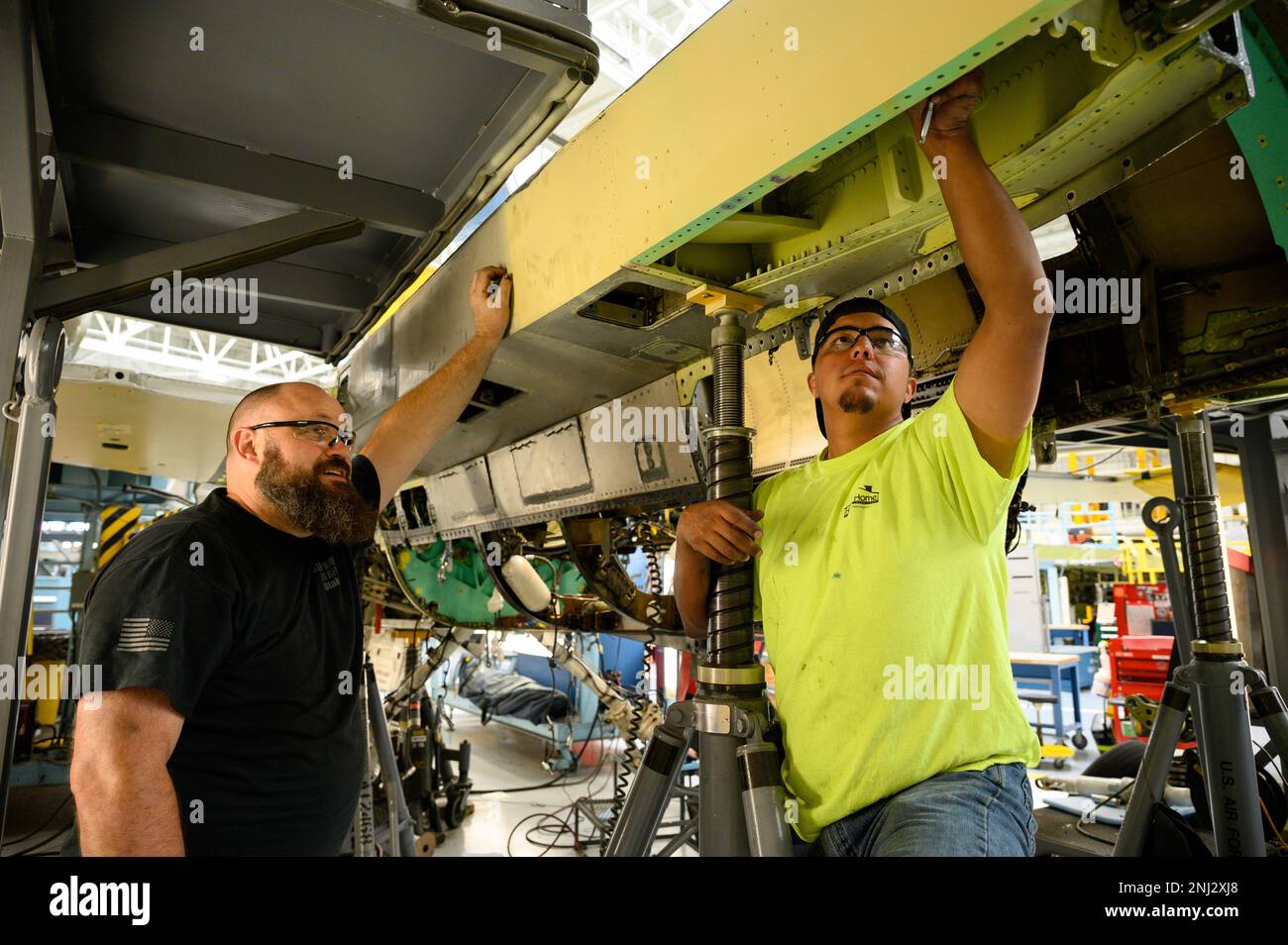 Future Life Extension