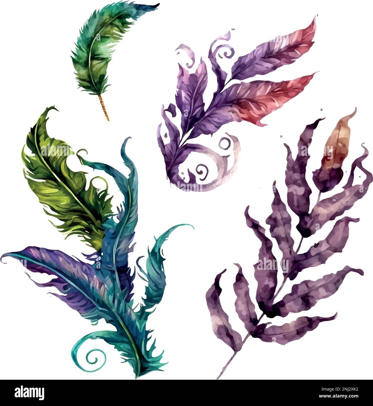 Hand painted watercolor bird feathers closeup isolated on white ...