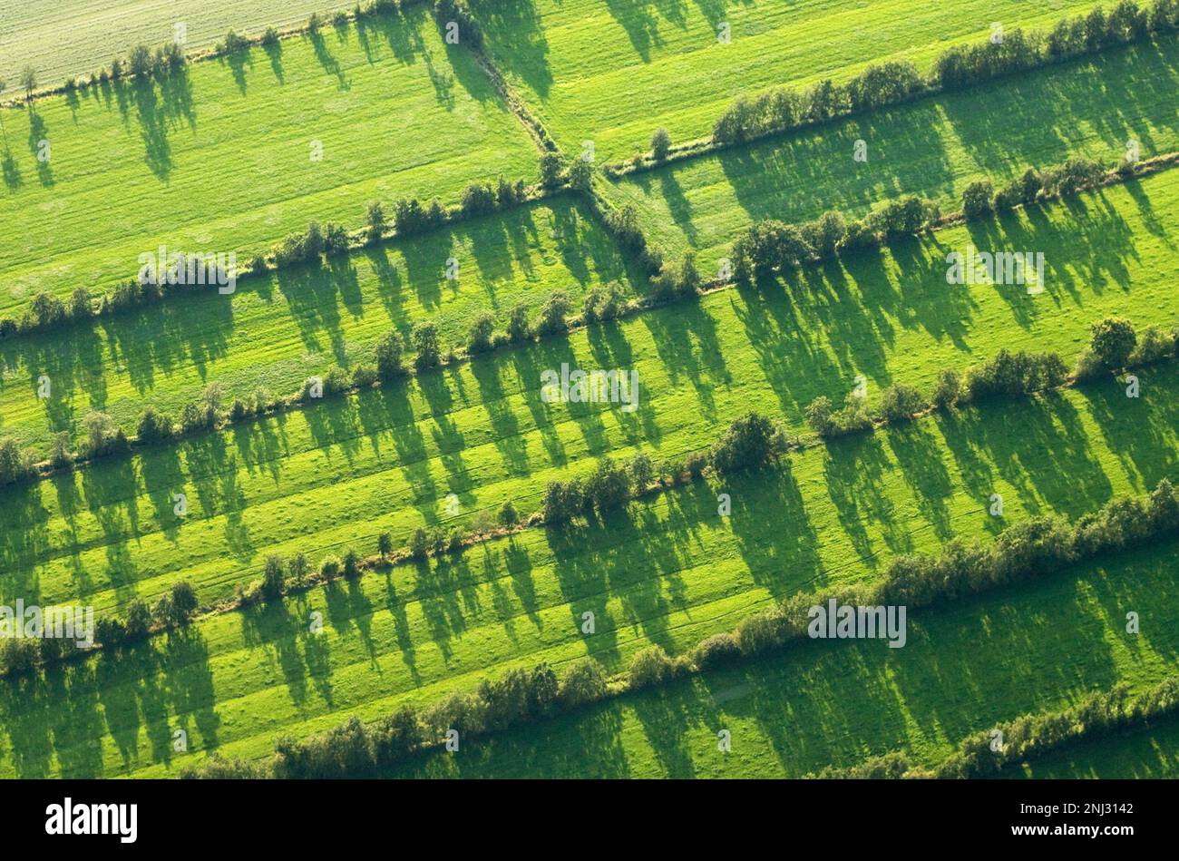 Luchtfoto van boerenland in Friesland; Aerial photo of rural aereas in ...