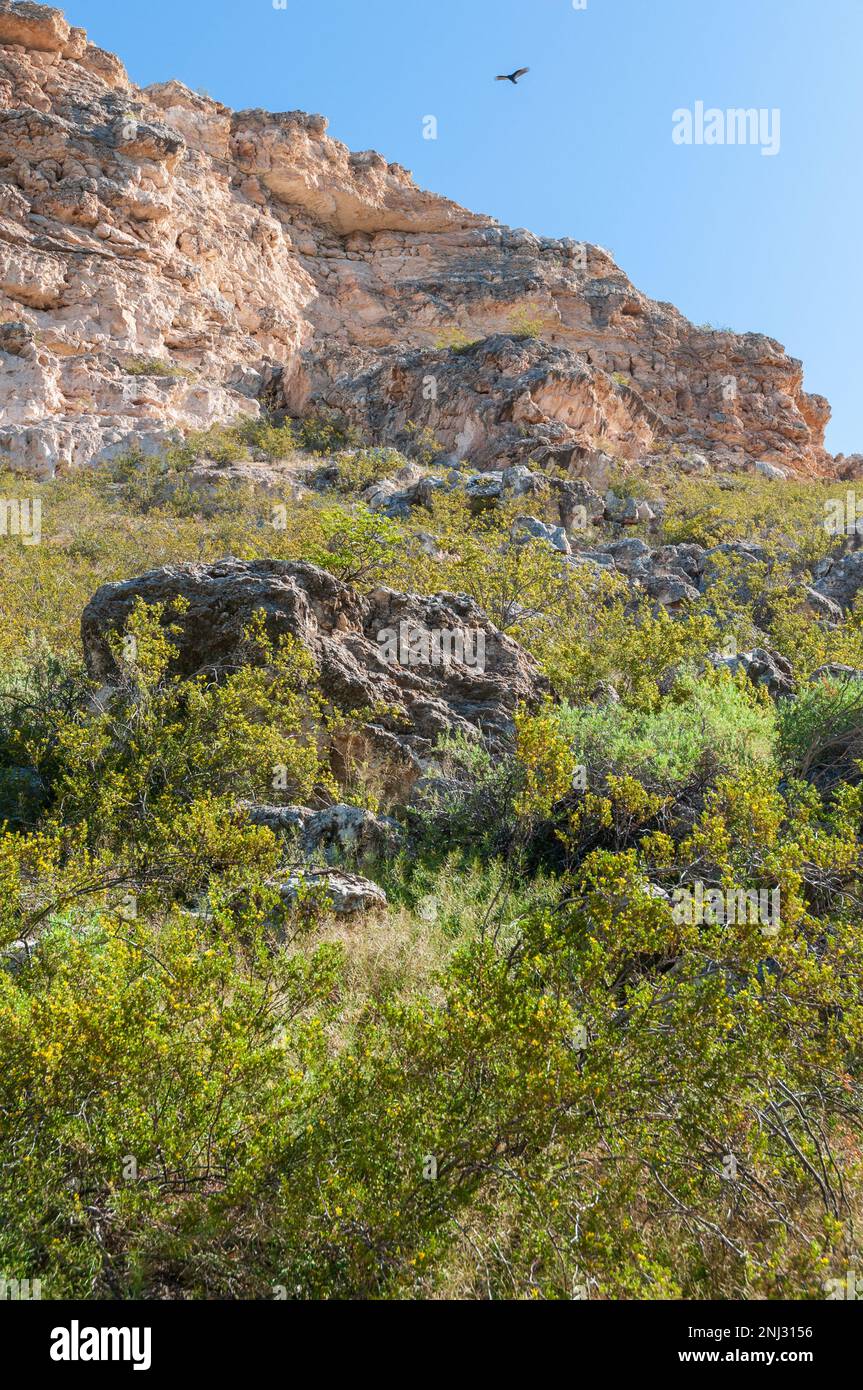 Landscape of Montezuma Castle National Monument Stock Photo - Alamy