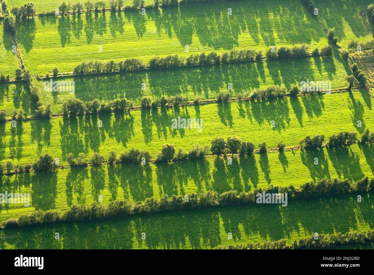 Luchtfoto van boerenland in Friesland; Aerial photo of rural aereas in ...
