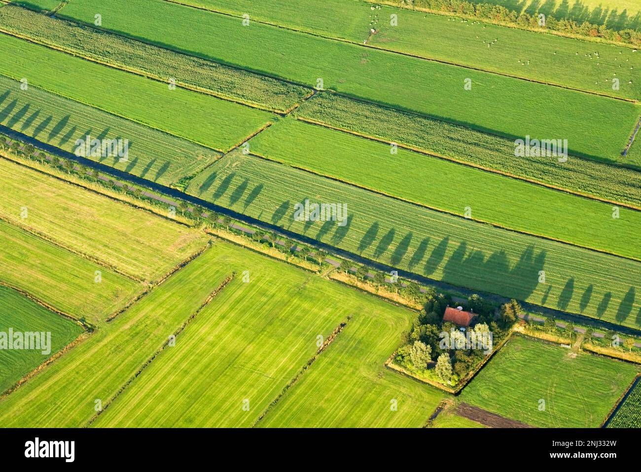 Luchtfoto van boerenland in Friesland; Aerial photo of rural aereas in ...