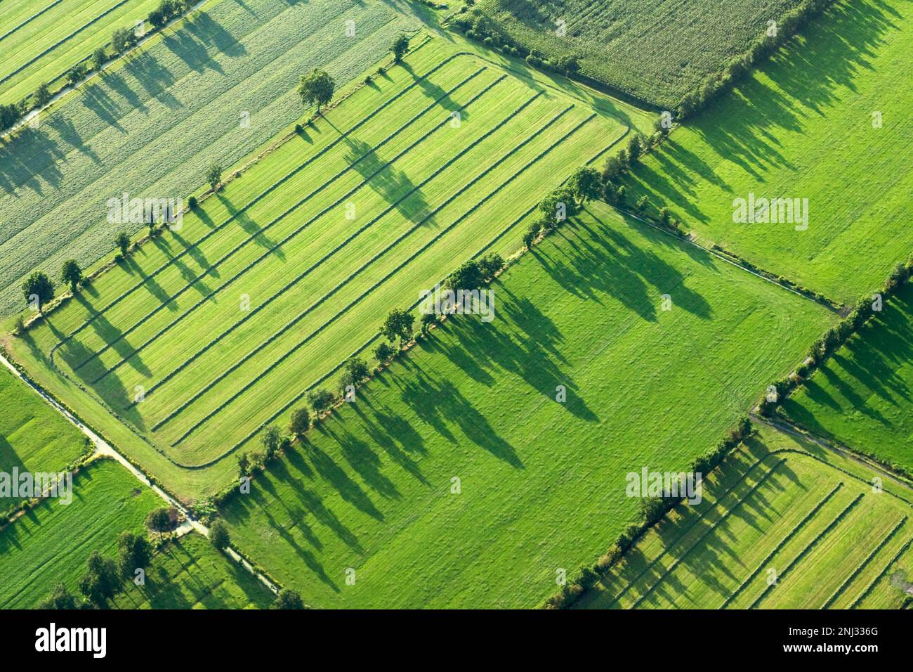 Luchtfoto van boerenland in Friesland; Aerial photo of rural aereas in ...