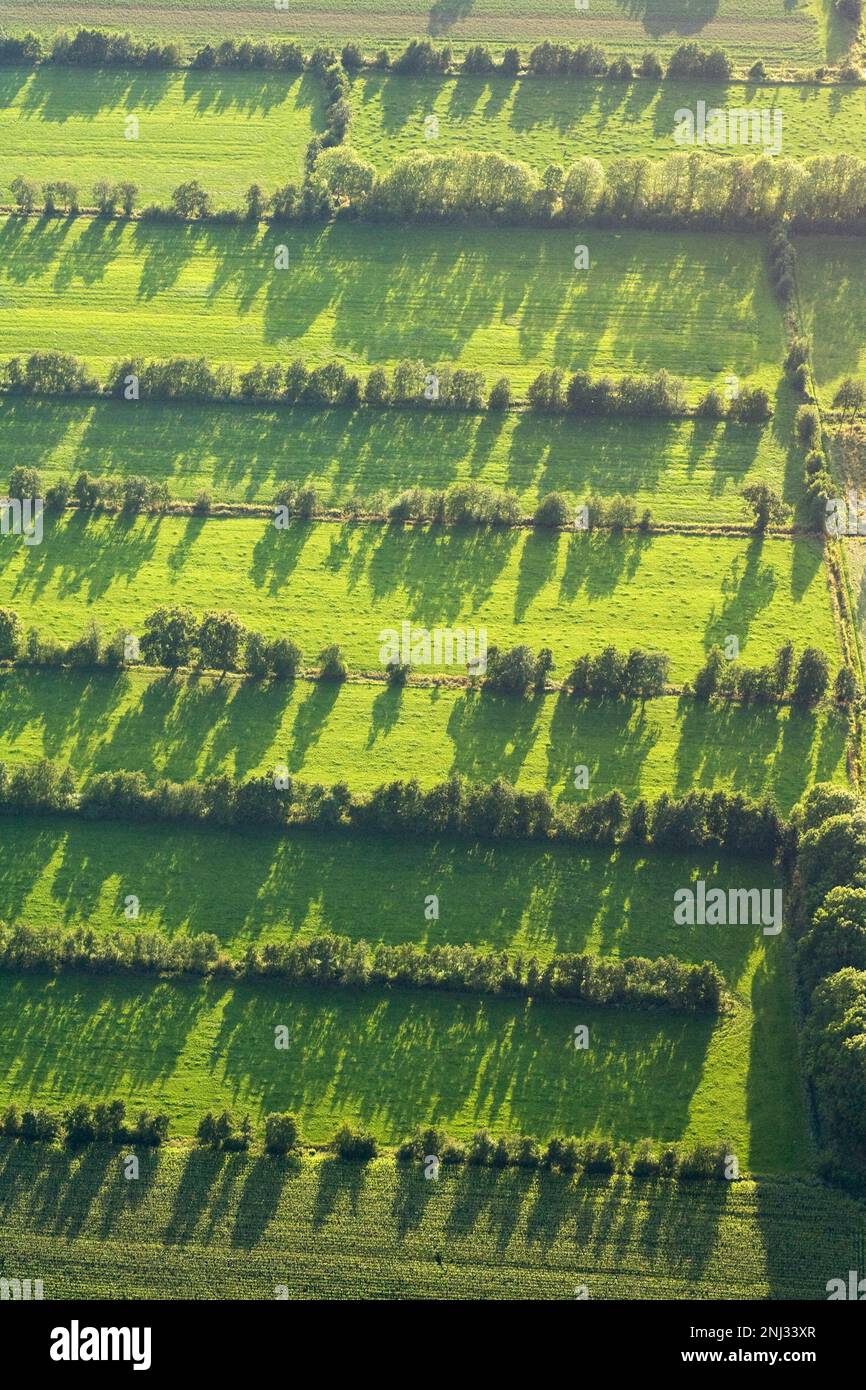 Luchtfoto van boerenland in Friesland; Aerial photo of rural aereas in ...