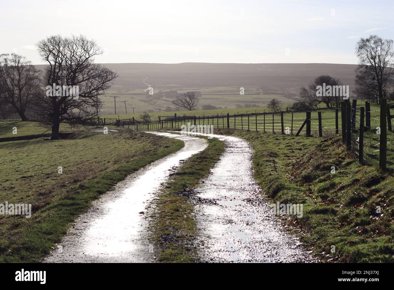 Farm track glistening after rain winding into the distance Stock Photo ...