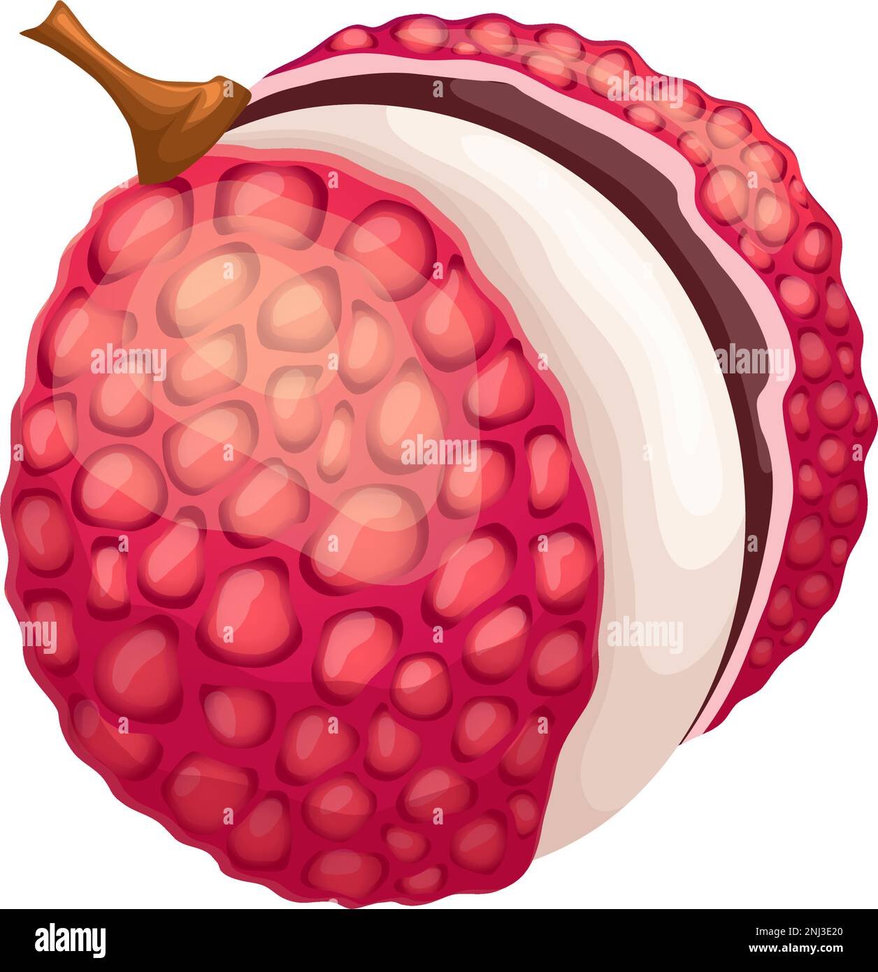 lychee food cartoon vector illustration color sign Stock Vector Image ...