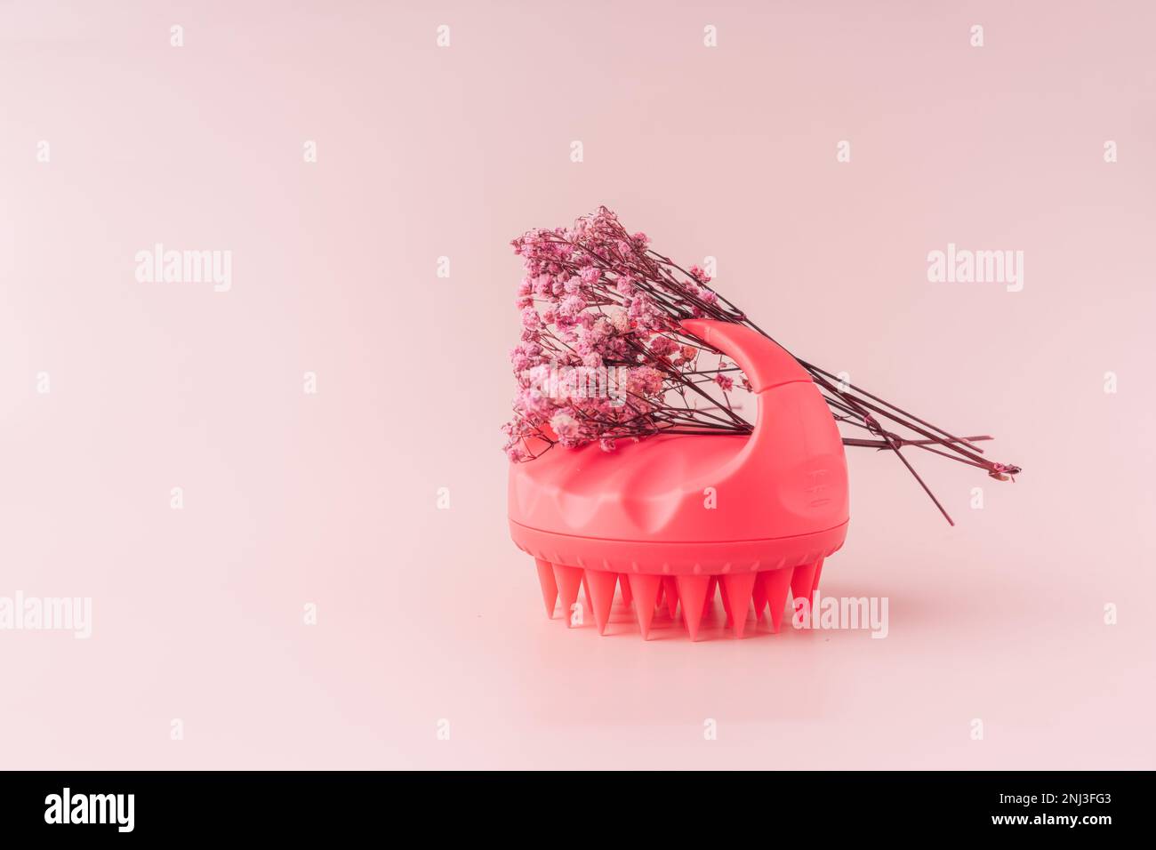 Scalp massager with dried flower against pink background Stock Photo ...