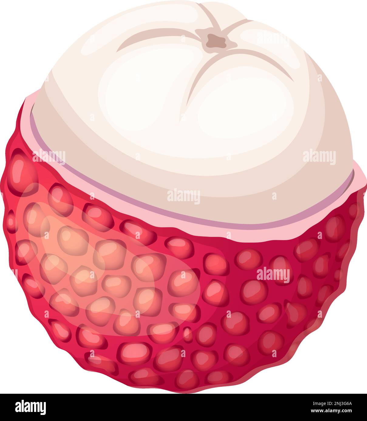 lychee food cartoon vector illustration color sign Stock Vector Image ...