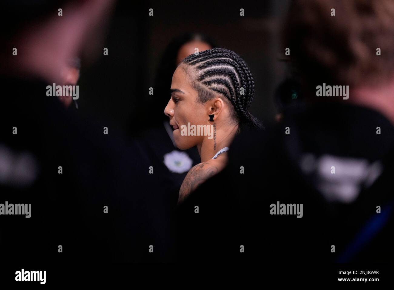 LAS VEGAS, NV - OCTOBER 15: Viviane Araujo prepares to fight Alexa ...