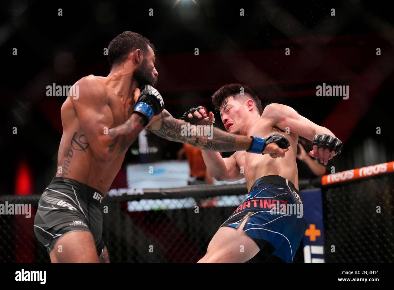 LAS VEGAS, NV - OCTOBER 15: (L-R) Brandon Davis punches Mana Martinez ...