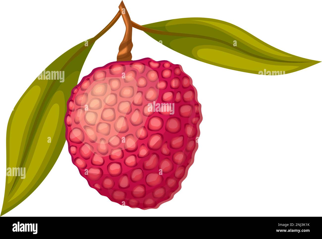 lychee food cartoon vector illustration color sign Stock Vector Image ...