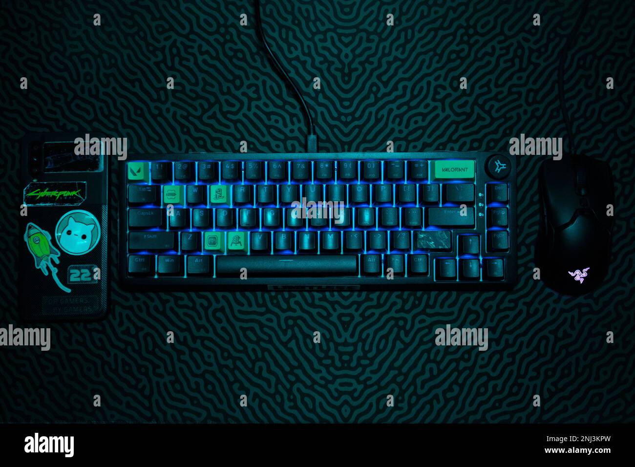 Rakk pirah hi-res stock photography and images - Alamy