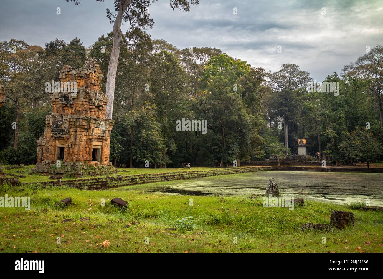 Opposite temple a hi-res stock photography and images - Alamy