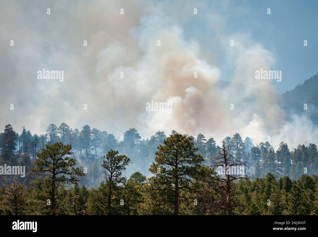 Fire at the San Francisco Peaks in Coconino National Forest Stock Photo ...