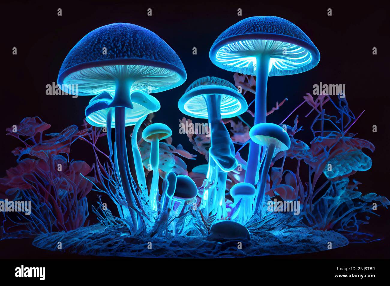 Glowing psilocybin fungi hi-res stock photography and images - Alamy