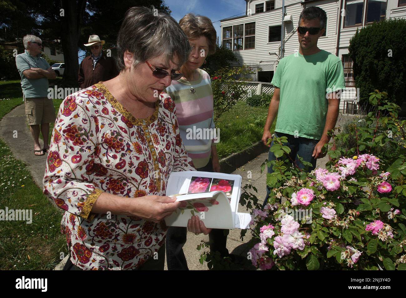 Kathleen Dooley (front) from the San Francisco Rose society looking ...