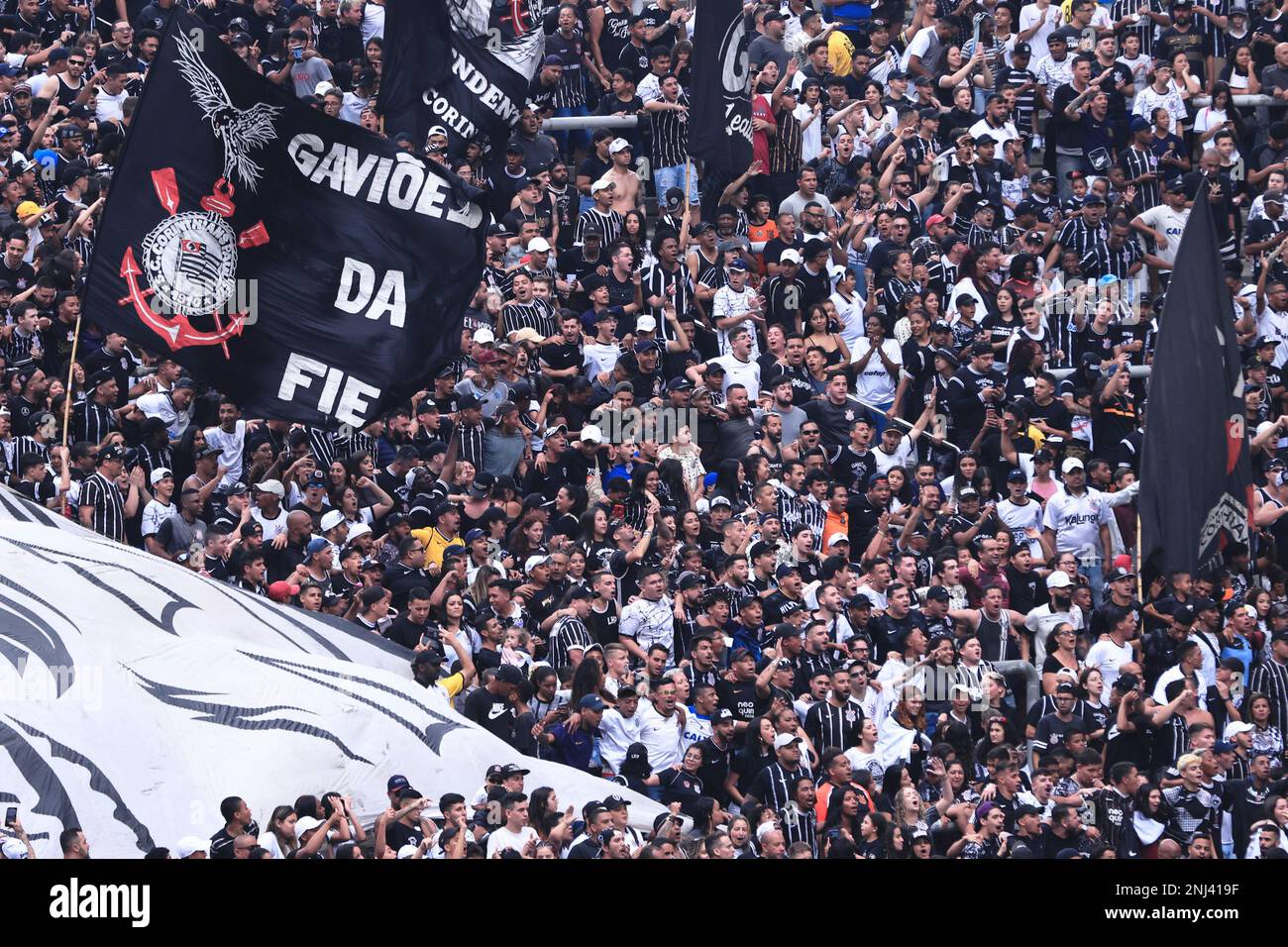 SP - Sao Paulo - 10/17/2022 - CORINTHIANS, TRAINING - Corinthians fans ...