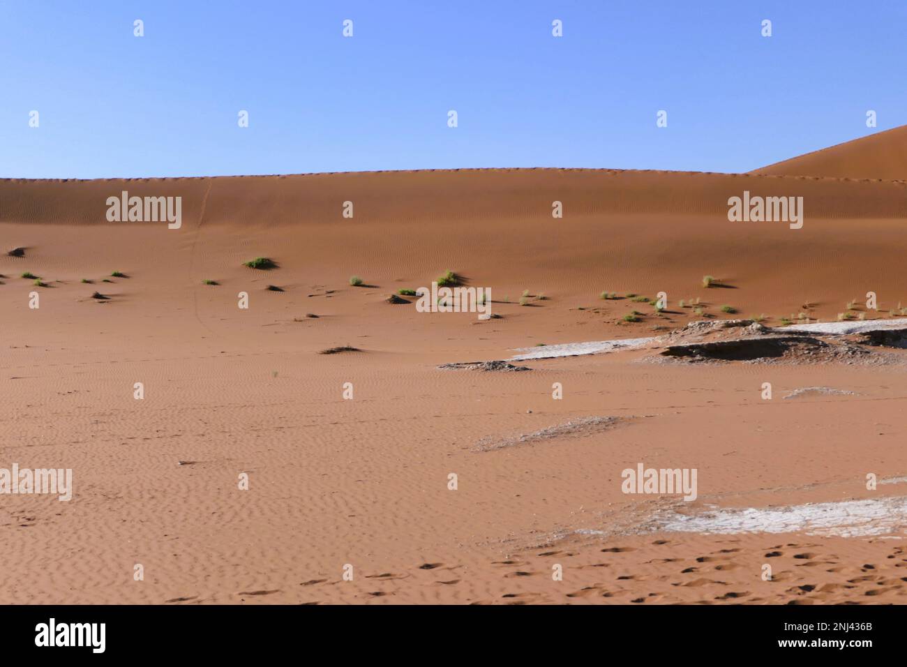 Tailor made offers hi-res stock photography and images - Alamy